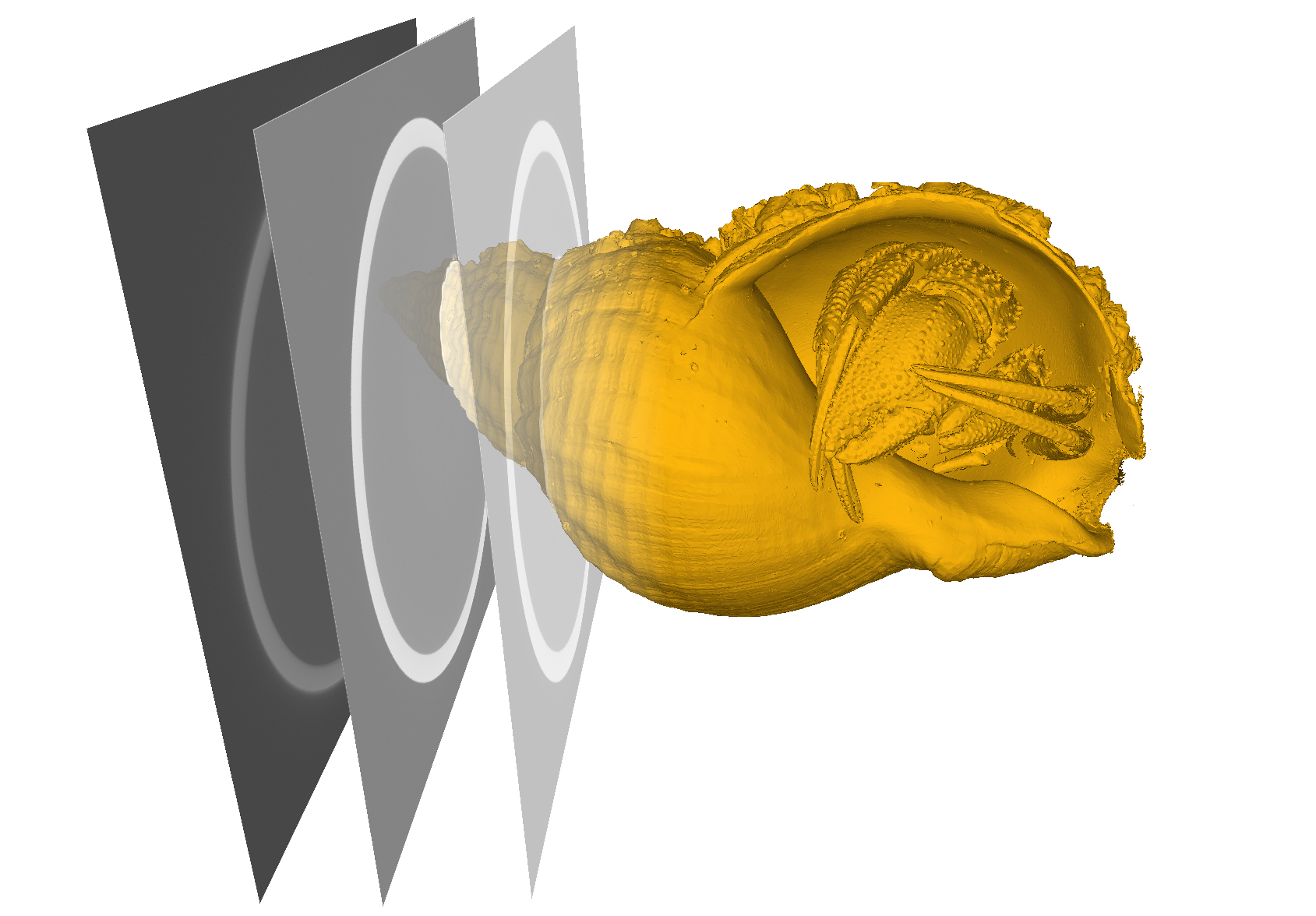 CGAL 6.1 - 3D Isosurfacing: User Manual